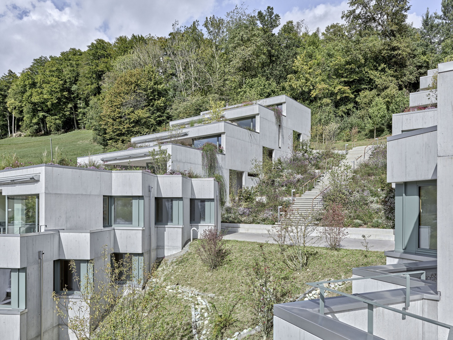 Terrassenhäuser Sommerhalde - Architekturprojekte - swiss-arc.ch